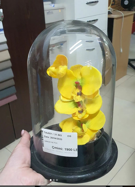 Lule orkide ne vazo – Shtëpia e Ofertave